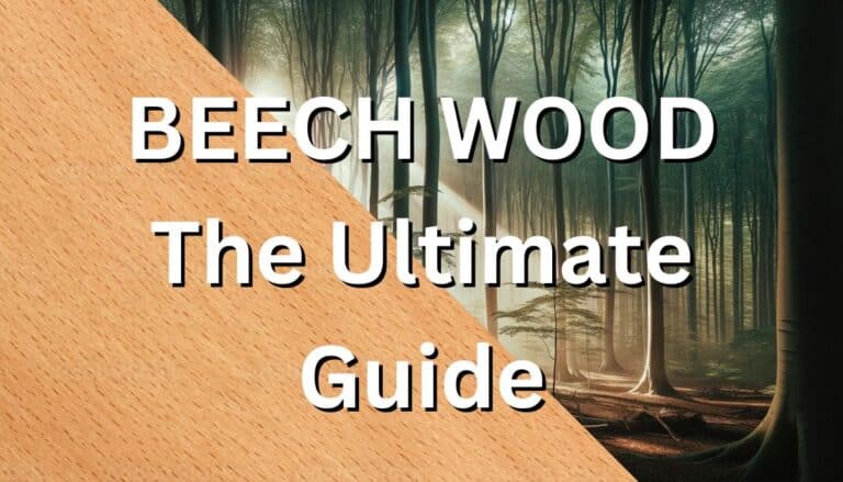 Beech Wood: 8 Surprising Benefits For Durable Furniture & Decor