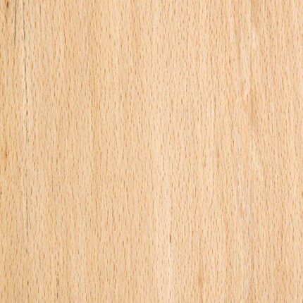 Beech Wood: 8 Surprising Benefits For Durable Furniture & Decor